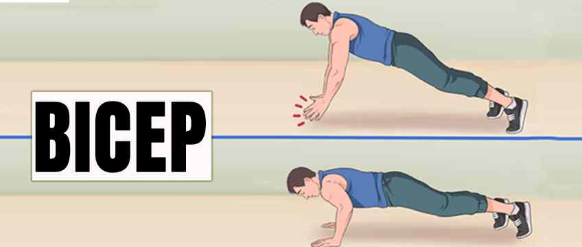 Do Push Ups Work Your Biceps - A Killer Move for Upper Body Strength